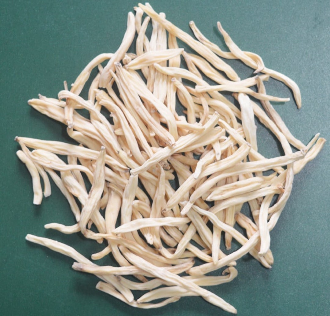 Safed Musli White Musli Roots Chlorophytum Borivilianum Herbs - Etsy