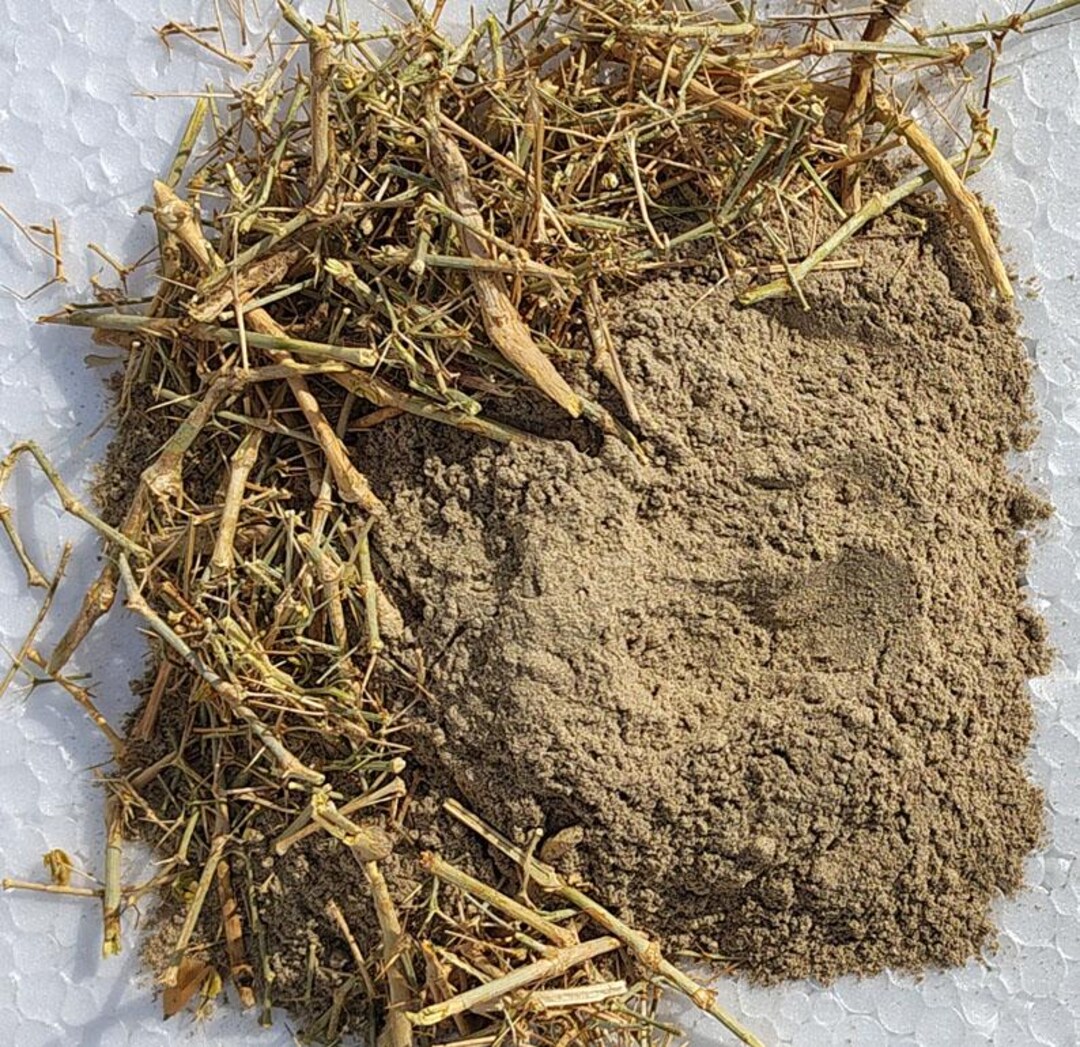 Dhamasa Powder Fagonia Cretica Powder Yavasa Dhamaso Damasha Desert ...