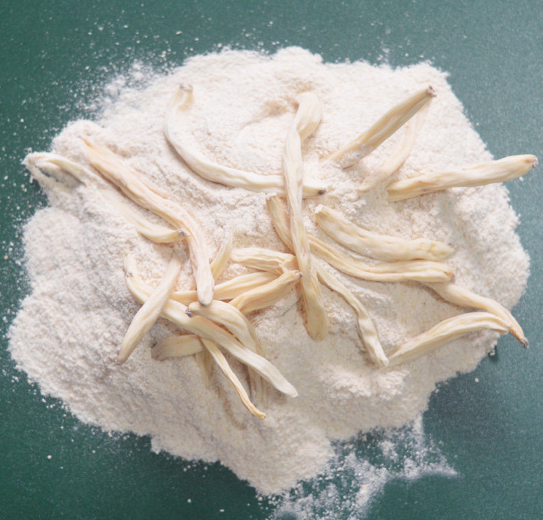 Safed Musli Powder White Musli Powder Chlorophytum Borivilianum Herbs ...