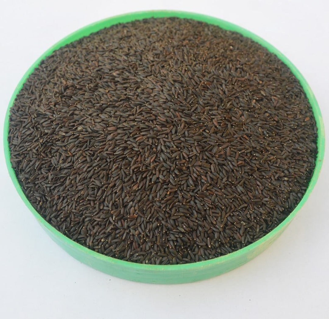 Tukh Malanga,balanga,basil Seeds,ocimum Basilicum Herbs Whole - Etsy