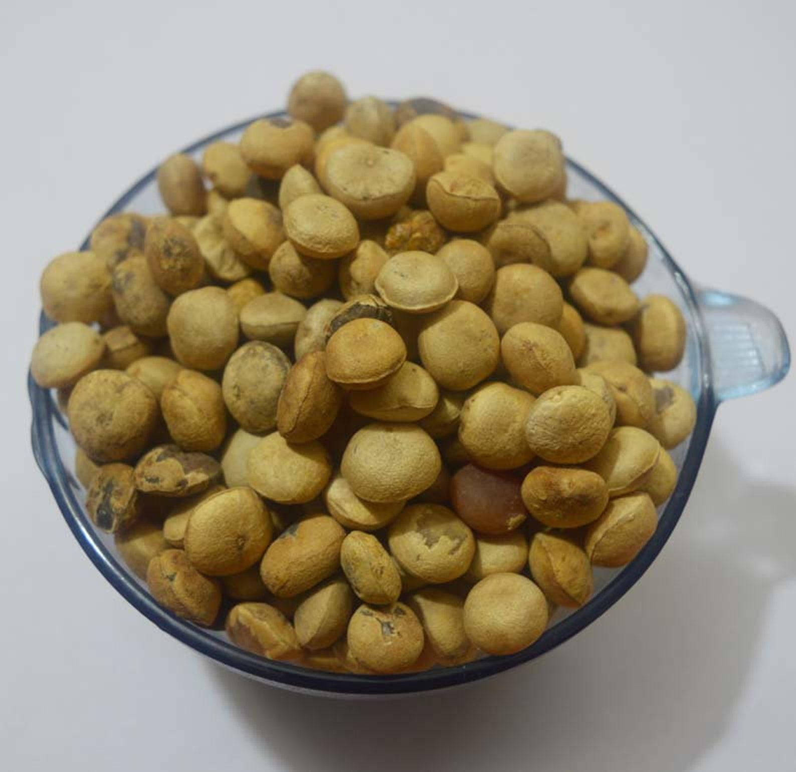 Nirmali Seeds Clearing Nut Tree Seed Strychnos Potatorum Tettaamparal ...