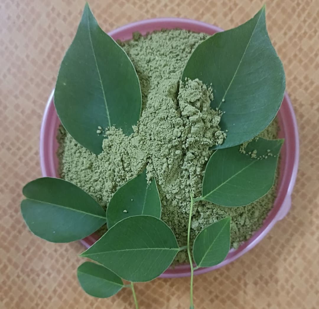 Shisham Leaves Powder/shisham Leaf Powder/sheesham Leaves Powder/sissoo ...