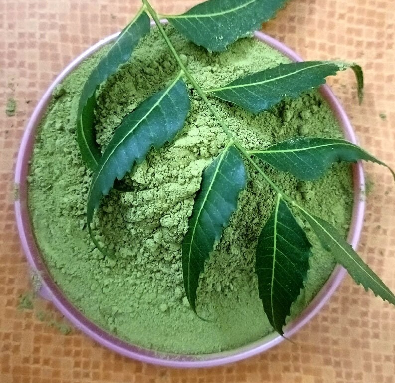 Neem Leaves Powder/neem Leaf Powder/neem Powder/neem Patta Powder/ Neem ...