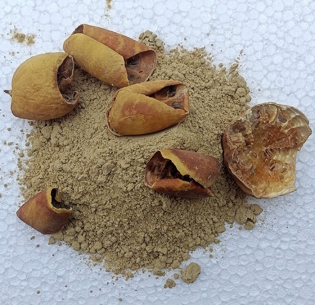 Indrayan Phal Powder: Bitter Apple Colocynth Herbs - Etsy