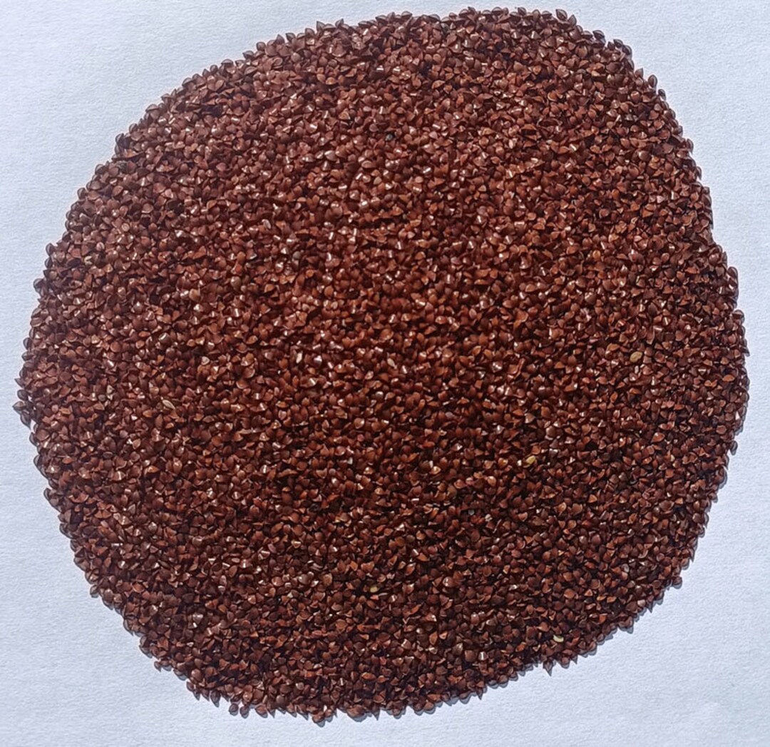 Beej Band Lal Beej Band Red Red Sida Cordifolia Bijband Lal Khareti Lal ...