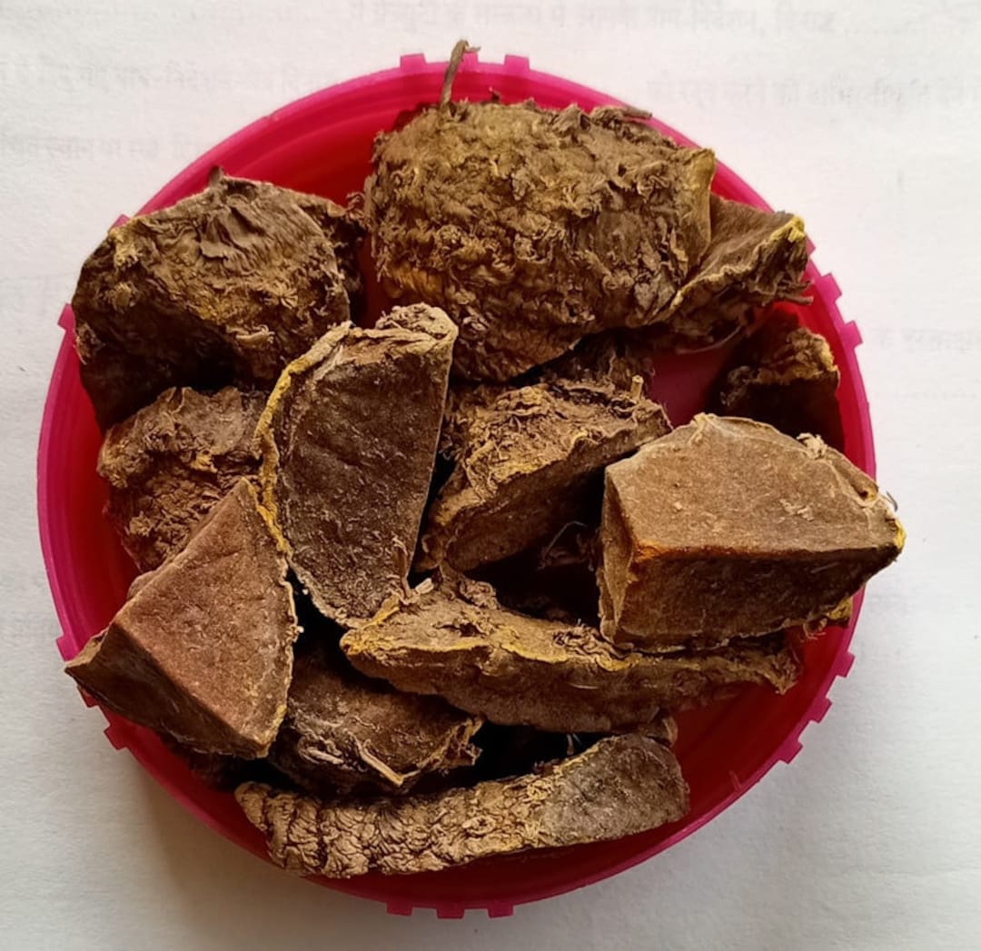 Amba Haldi / Curcuma Aromatica Raw & Whole - Etsy