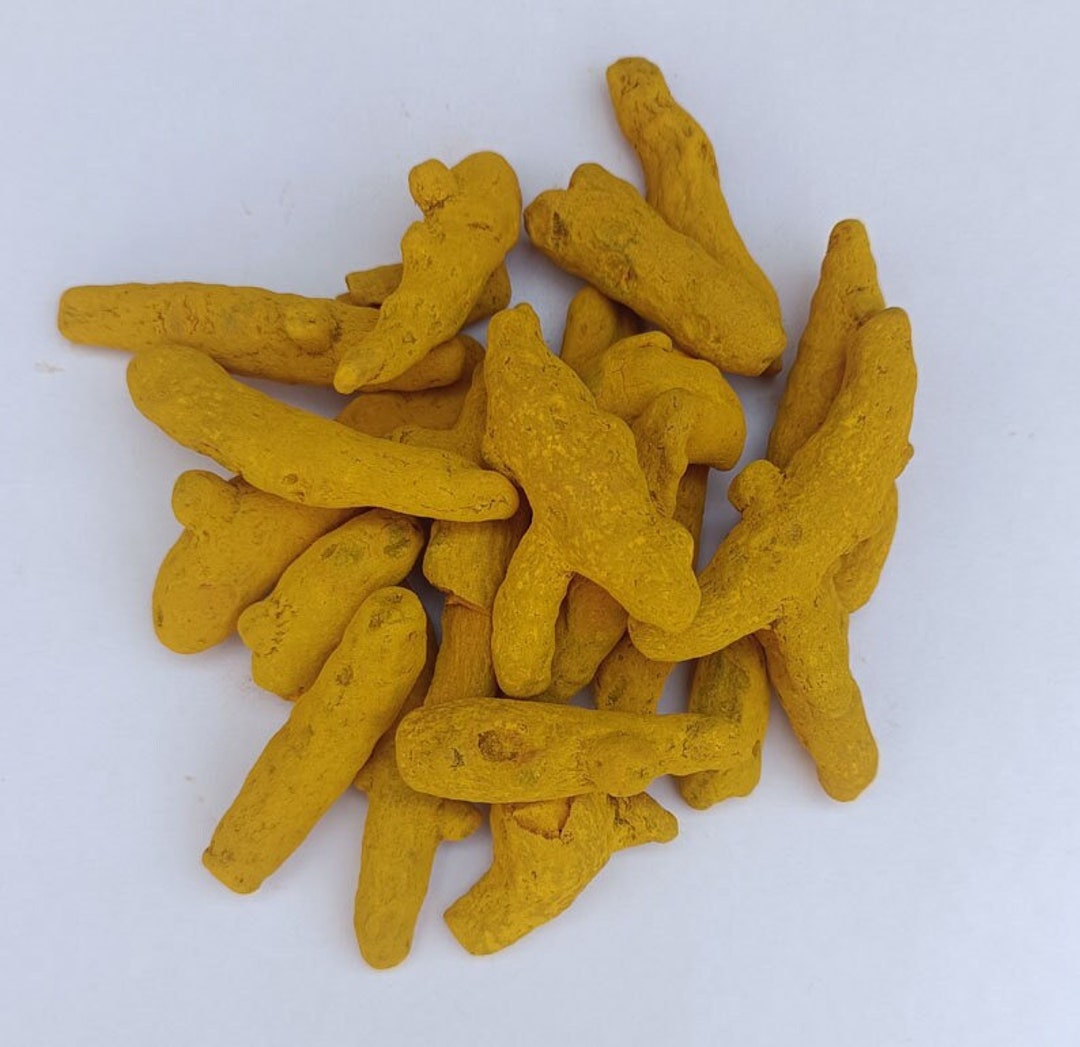 Turmeric Roots / Dried Whole Haldi / Curcuma Longa Roots / Turmeric ...