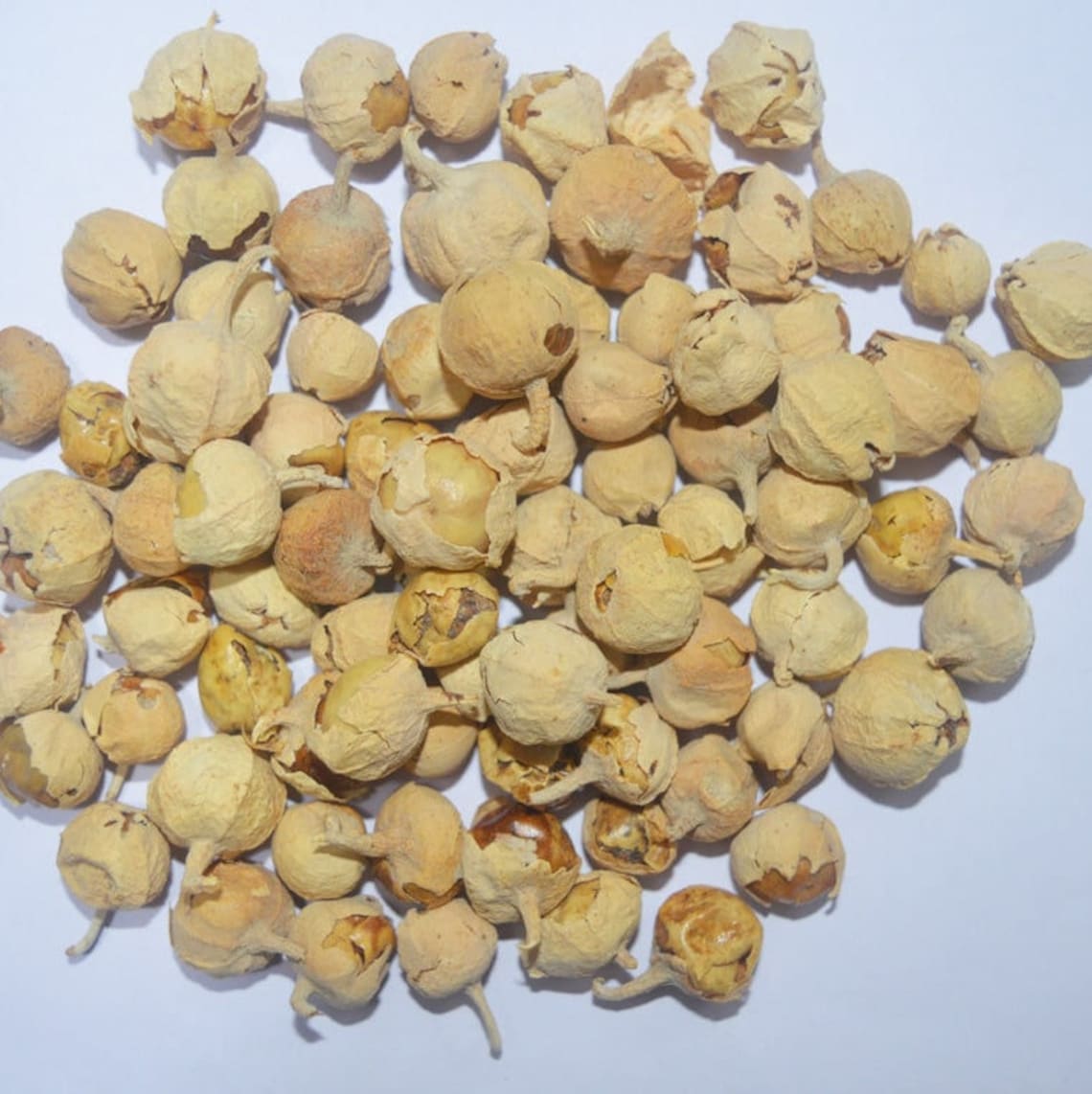 Paneer Dodi Whole,paneer Doda Whole,withania Coagulans,indian Rennet ...