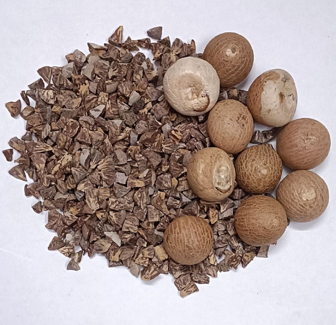 Betel Nuts Roasted Cut Areca Nut Roasted Cut Siki Supari Tukda Pieces Betel Nut India Mouth ...