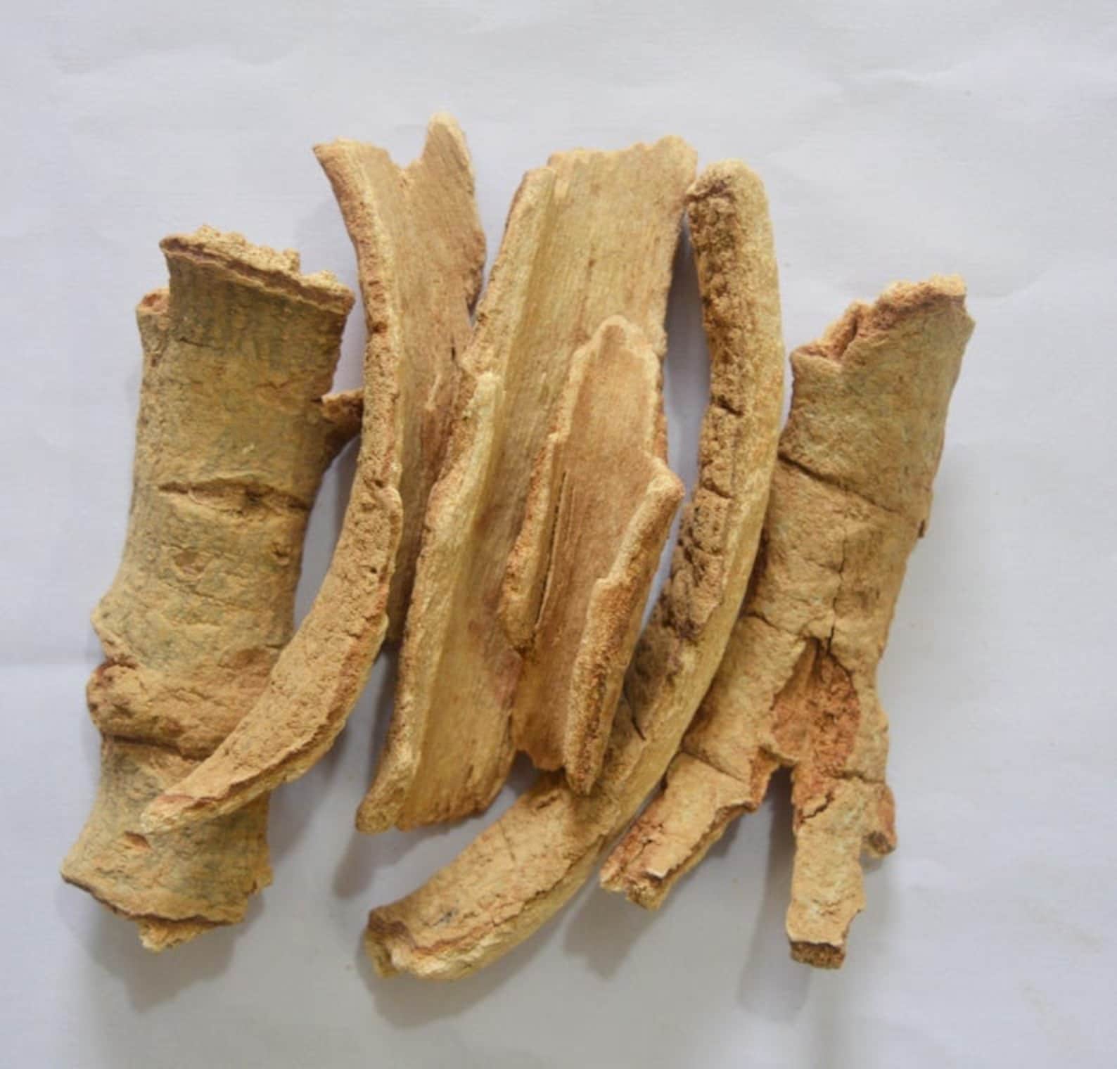 Lodhra Bark / Lodh Pathani / Symplocos Racemosa / Lodhra Chhal ...