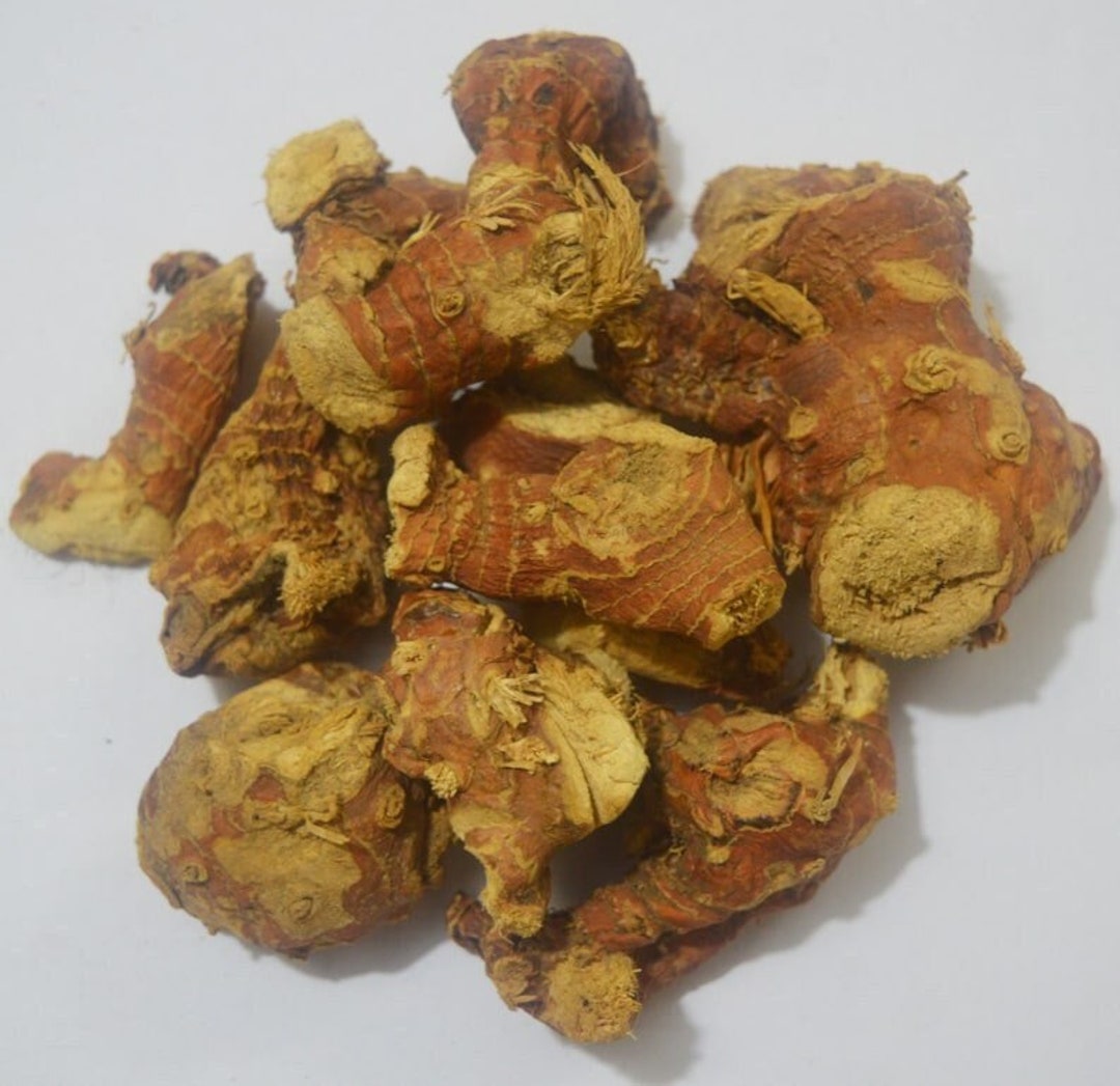 Kulanjan Roots Paan Jadd Alpinia Galanga Herbs Whole - Etsy