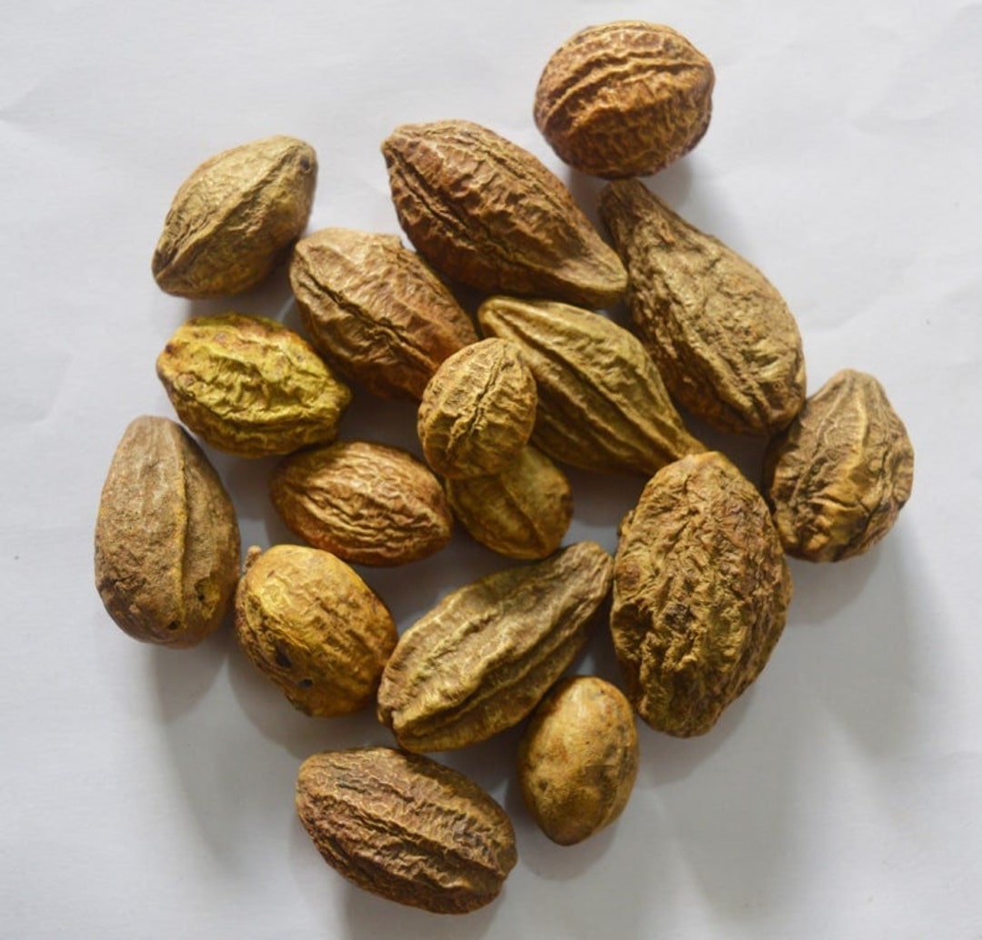 Haritaki Whole Harad Yellow Terminalia Chebula Harad Badi Pili Herbs ...