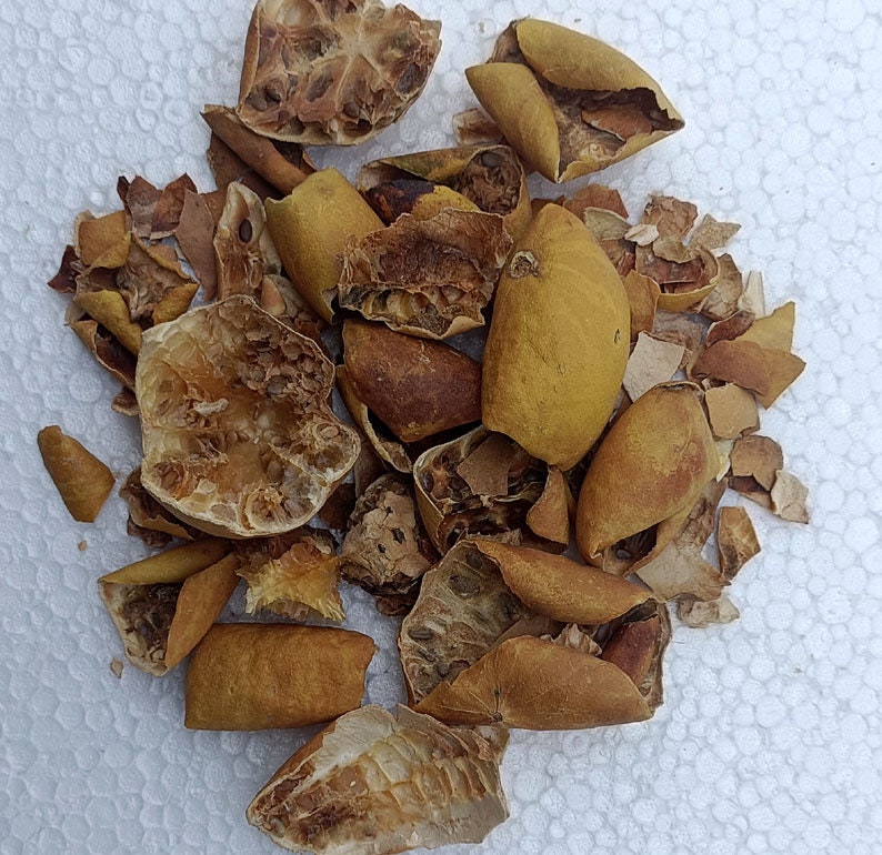 Indrayan Phal Kodtumba Citrullus Colocythis Indrain Fal Tumba Bitter ...