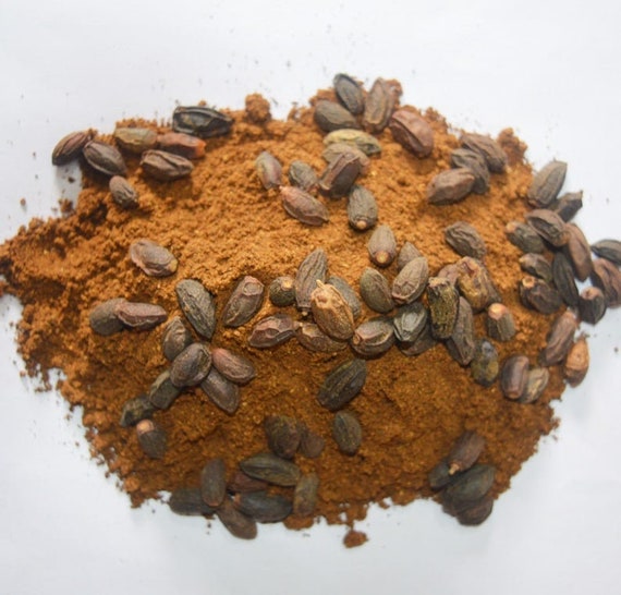 Neem Seeds Powderneem Niboliazadirachta Indica Seeds - Etsy