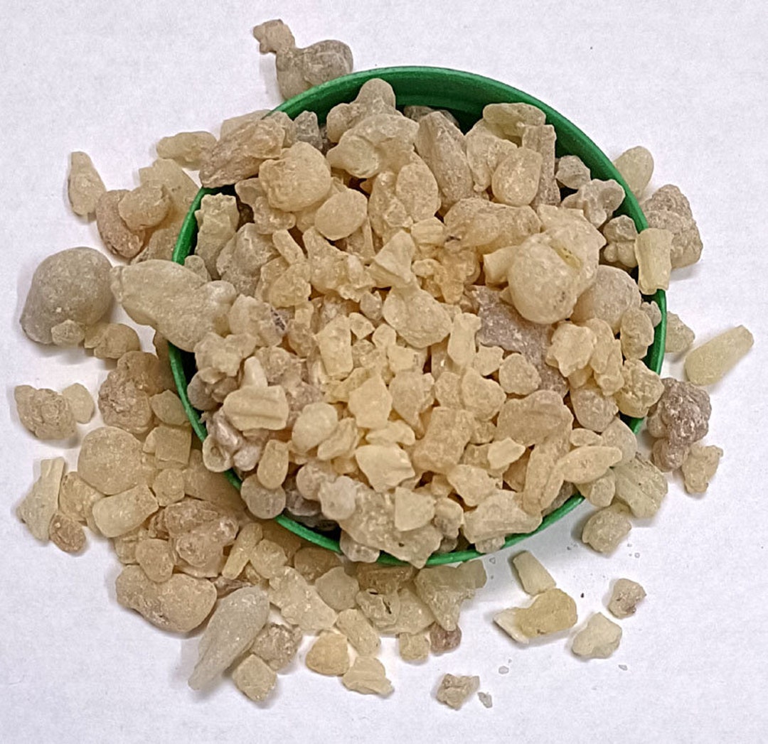 Gond Kondru Shallaki Gum Kondru Gond Boswellia Serrata Gum Gond Kundru ...