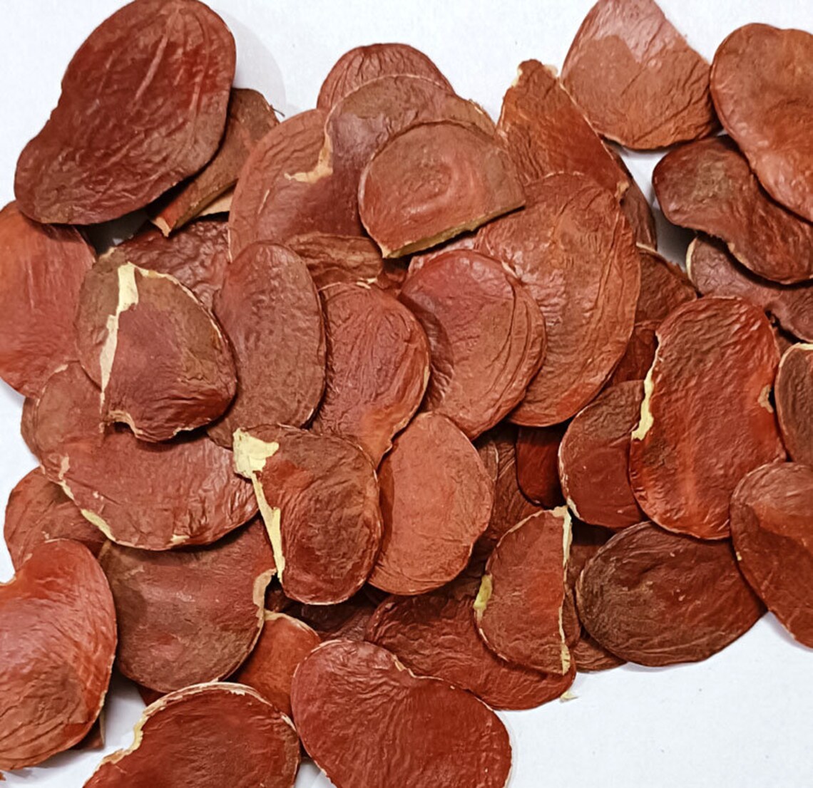 Palas Beej Powder/butea Monosperma Seeds Powder/palash Seeds Powder ...