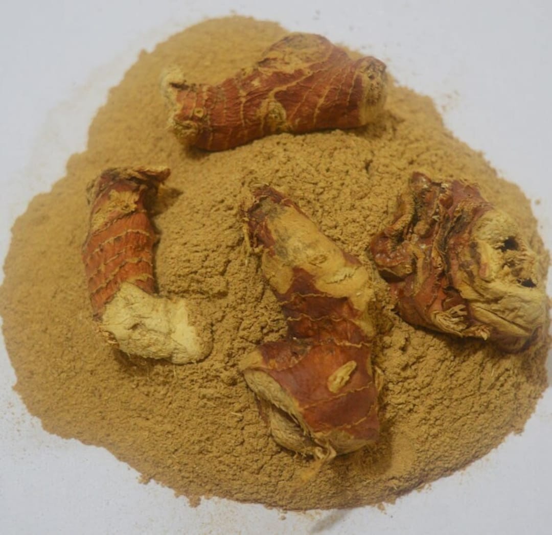 Kulanjan Roots Powder Paan Jadd Alpinia Galanga Herbs - Etsy