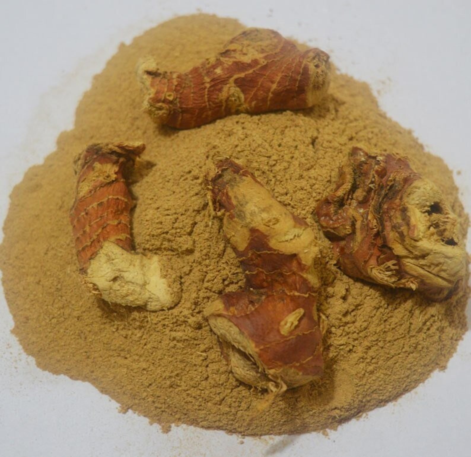 Kulanjan Roots Powder Paan Jadd Alpinia Galanga Herbs - Etsy