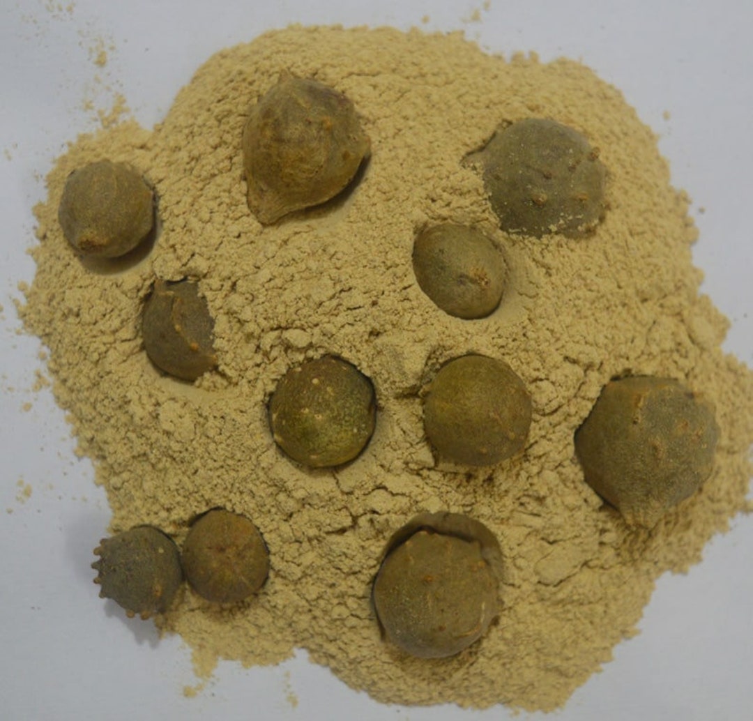 Majuphal Powder Manjakani Quercus Infectoria Gall Nuts Oak Gall Herbs ...