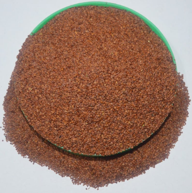 Lajwanti Seeds / Lajwanti / Sensitive Plant Seeds / Chuimui / Mimosa ...