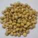 Nirmali Seeds Clearing Nut Tree Seed Strychnos Potatorum Tettaamparal ...