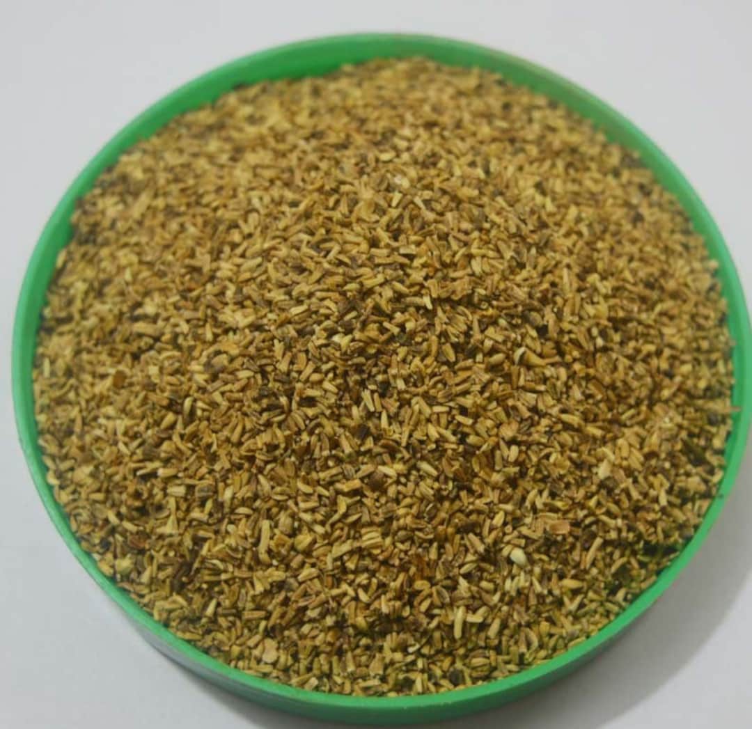 Kasni Seeds Kasini Beej Cichorium Intybus Chicory Whole Herbs - Etsy