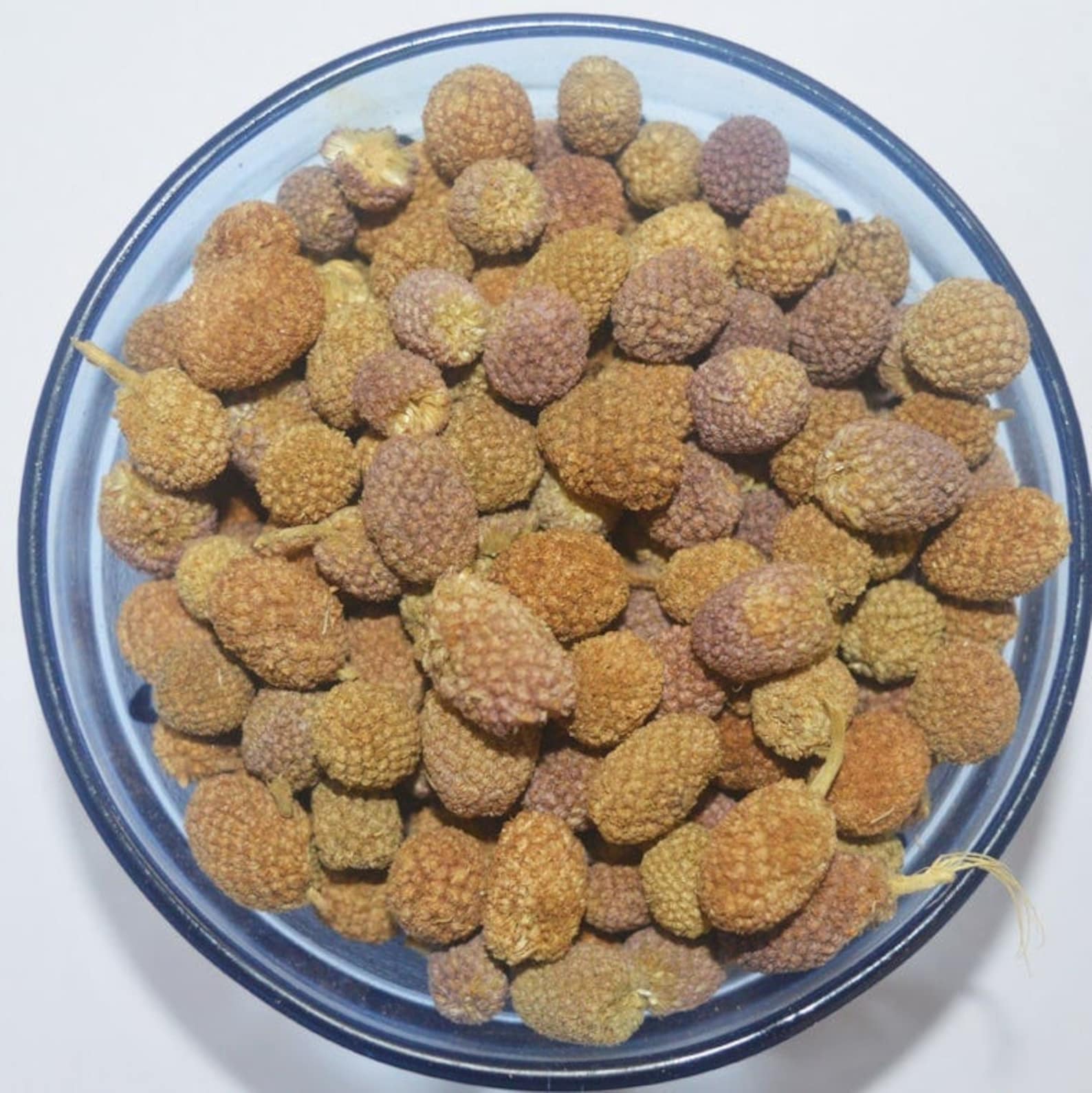 Gorakhmundi Whole Sphaeranthus Indicus Whole East Indian Globe Thistle ...