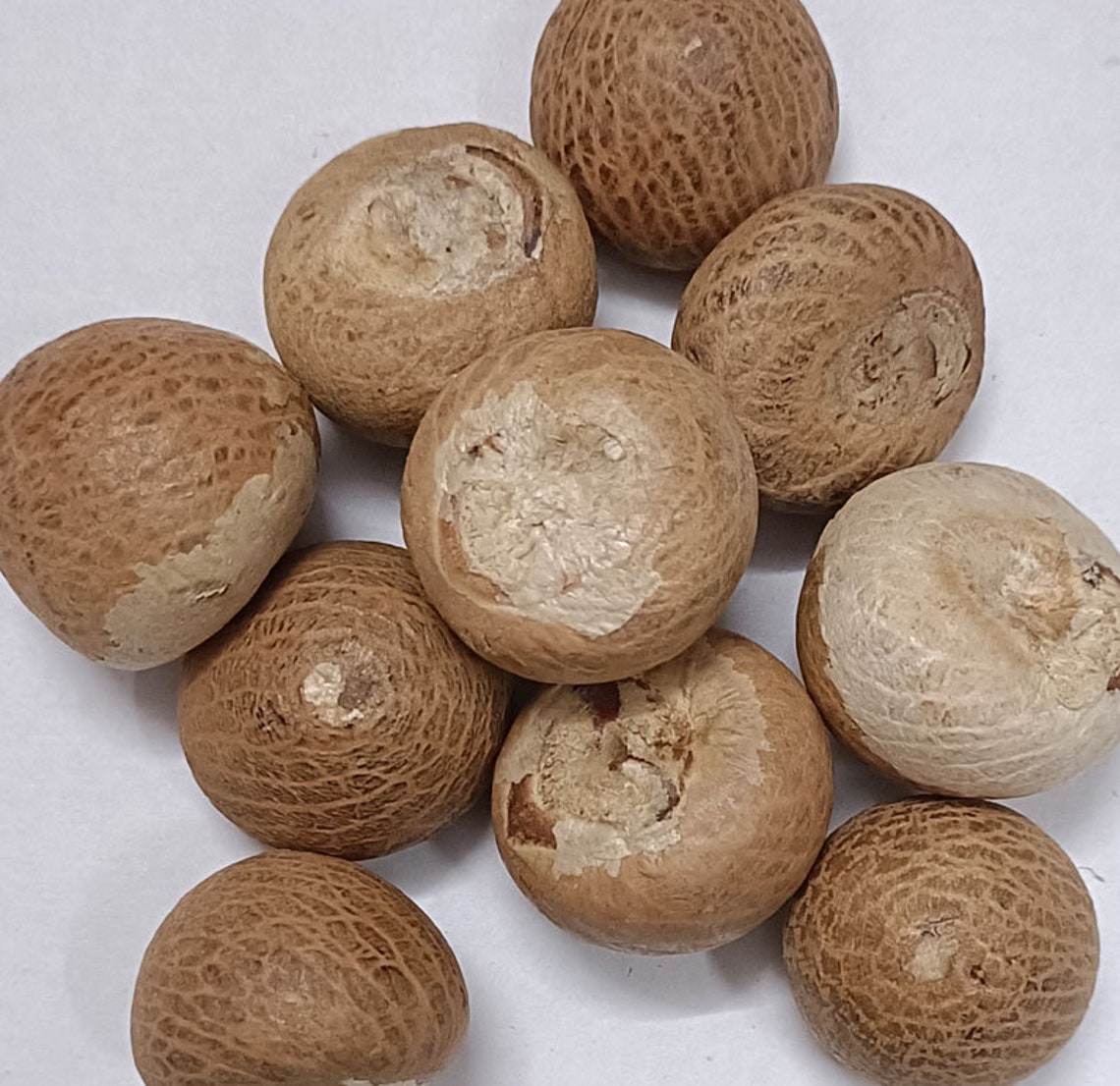 Roasted Cut Betel Nuts: Siki Supari Tukda - India Mouth Freshener - Etsy