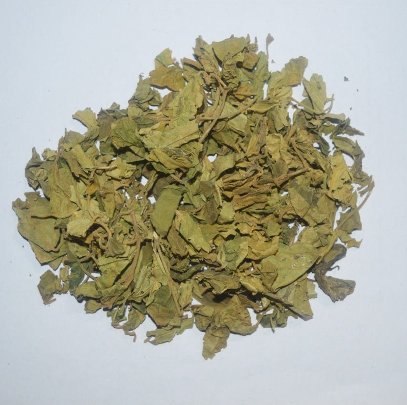 Gurmar Dried Leaves Gudmar Dried Leaves Gymnema Sylvestre Dried Leaves ...