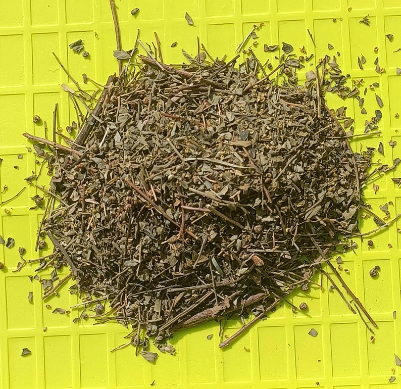 Bhumi Amla Powder Phyllanthus Niruri Bhoomi Awla Bhumi Aamla Bhumyalaki ...