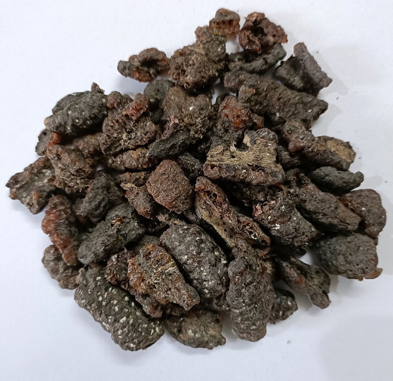Pipal Lakh / Lakh Pipal / Ficus Religiosa / Shellac Lac / Lakh Kachli ...