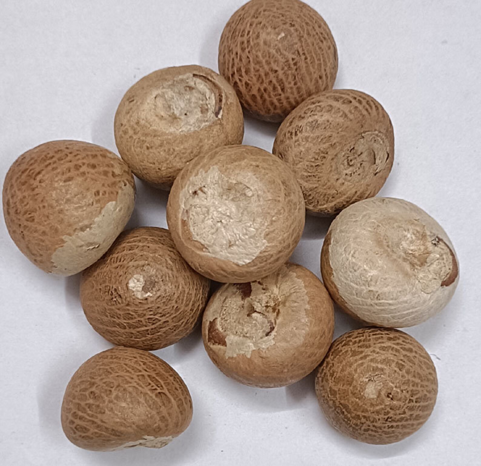 Roasted Cut Betel Nuts: Siki Supari Tukda - India Mouth Freshener - Etsy