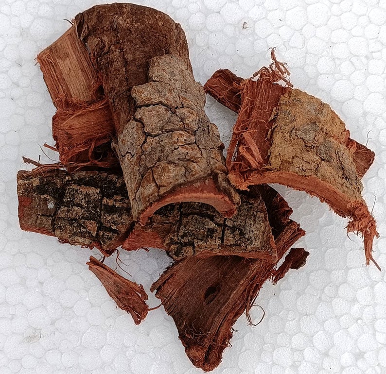 Kachnar Bark Kachnar Chal Bauhinia Variegata Kachnar Chaal Kachnaar ...