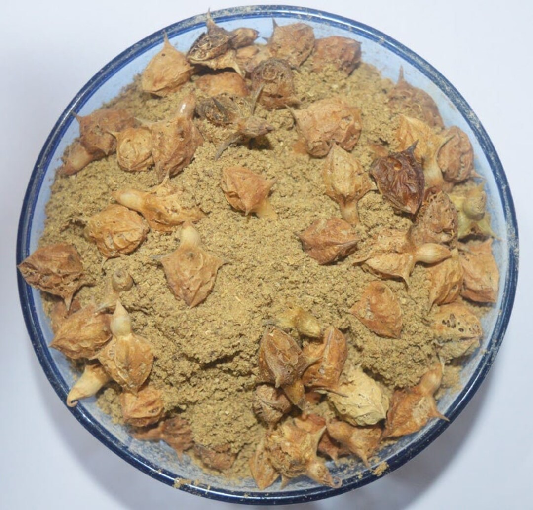 Gokshura Powder: Tribulus Terrestris Herbs - Etsy