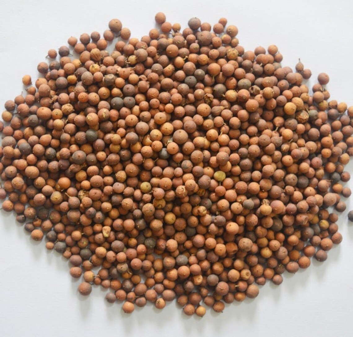 Vaivadang,false Black Pepper,embelia Ribes,baibadang,vaivadang Black ...