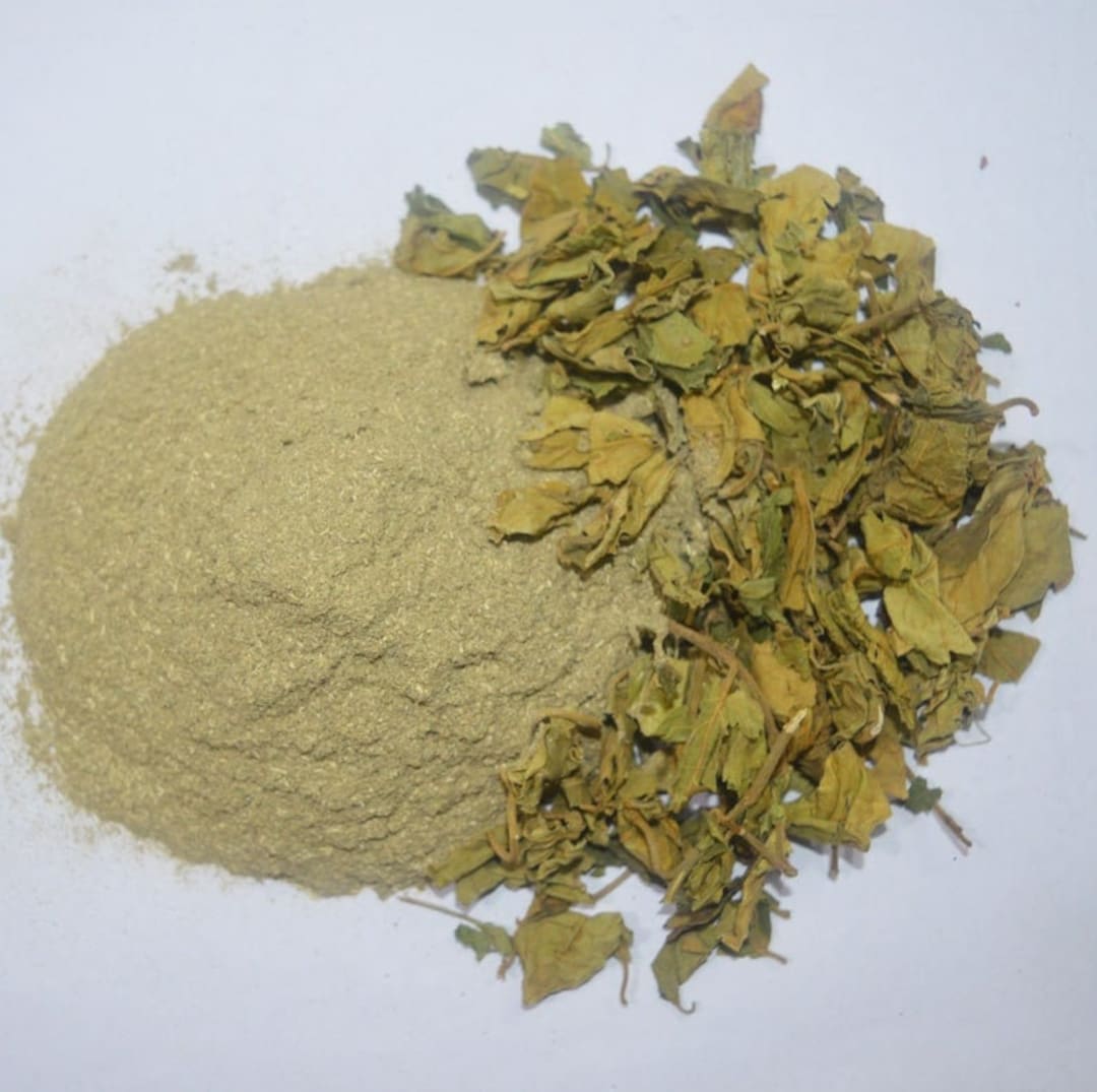 Gurmar PowderGudmar PowderGymnema sylvestre Powder - Etsy.de