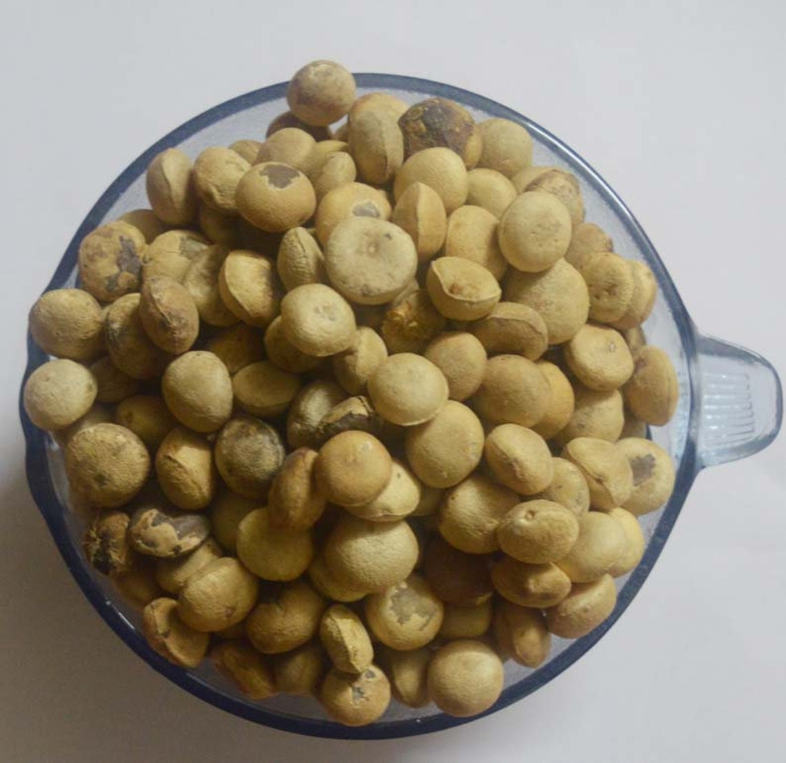 Nirmali Seeds Clearing Nut Tree Seed Strychnos Potatorum Tettaamparal ...