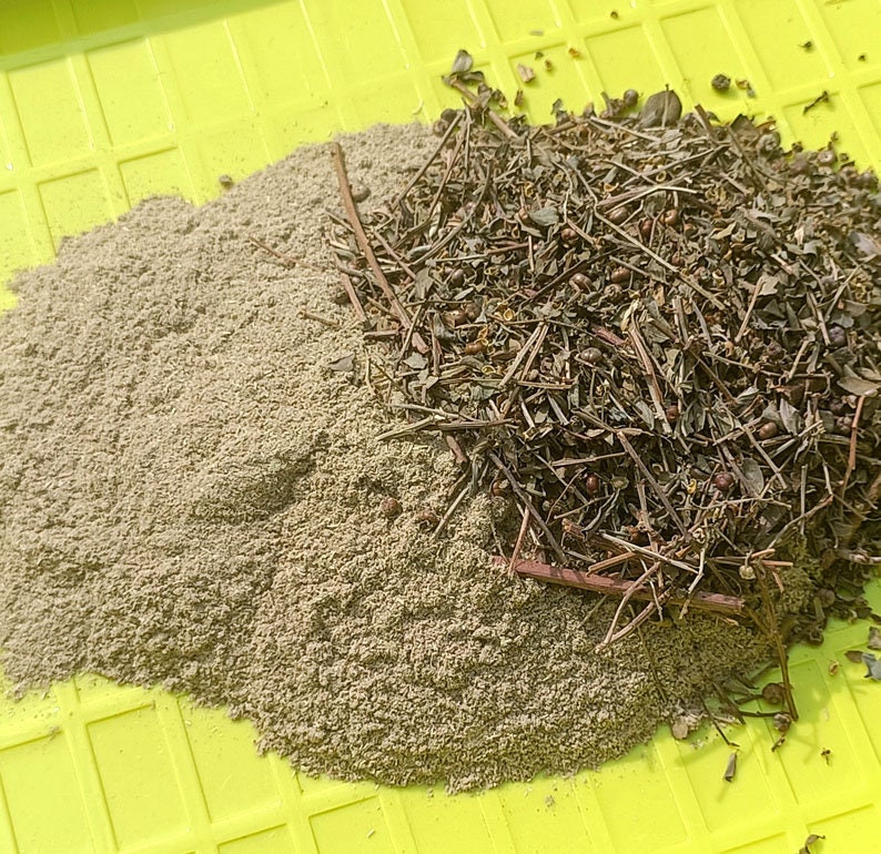 Bhumi Amla Powder: Phyllanthus Niruri Herbs - Etsy