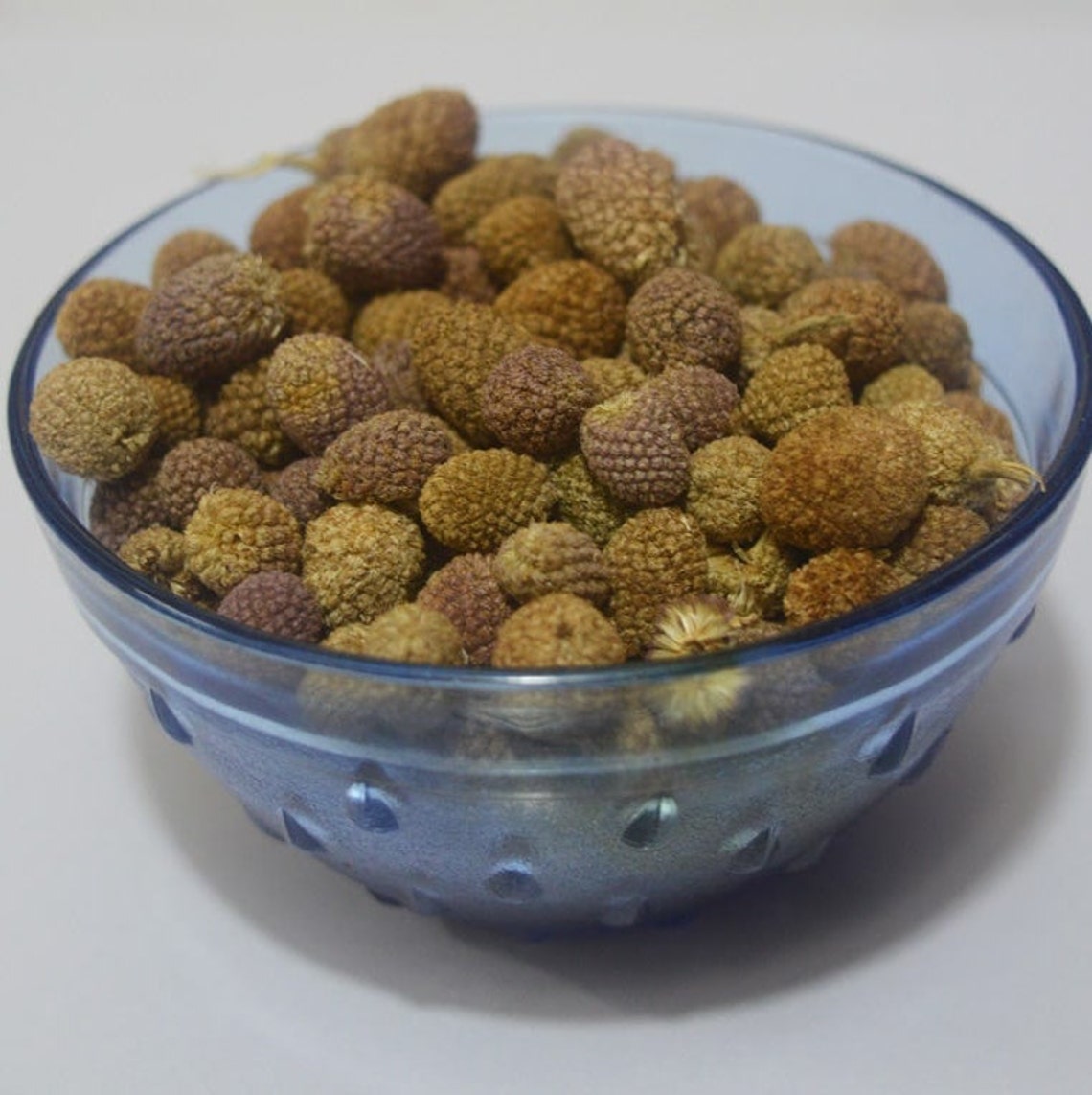 Gorakhmundi Whole Sphaeranthus Indicus Whole East Indian Globe Thistle ...