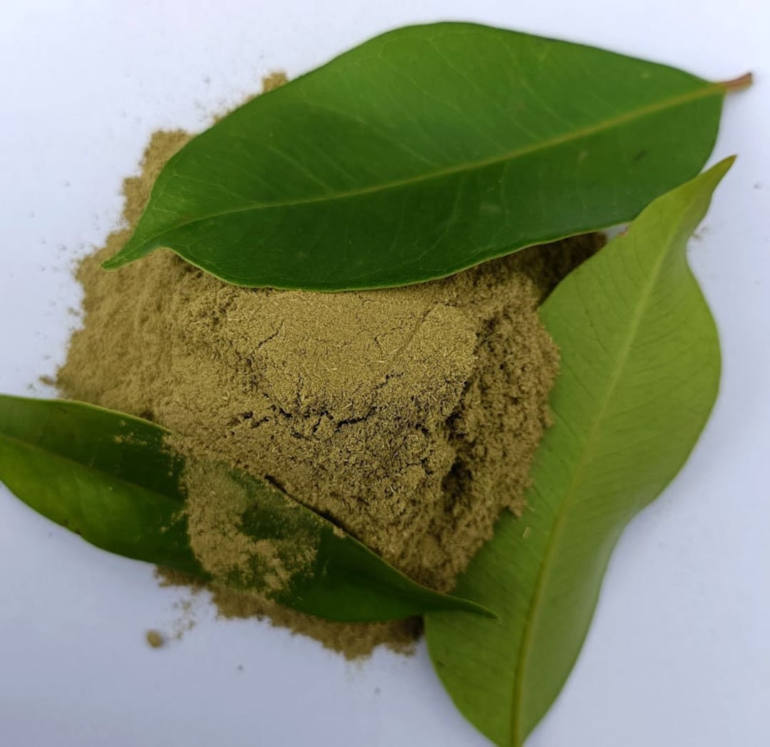 Jamun Leaves Powder: Black Plum, Syzygium Cumini - Etsy