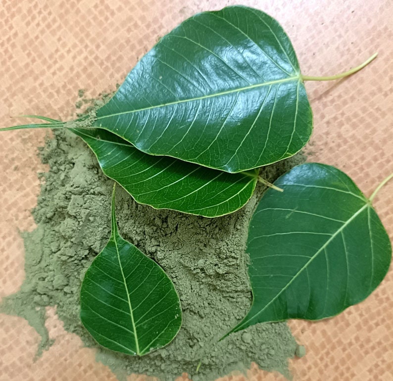 Peepal Leaf Powder / Peepal Leaves Powder / Ficus Religiosa Leaves ...