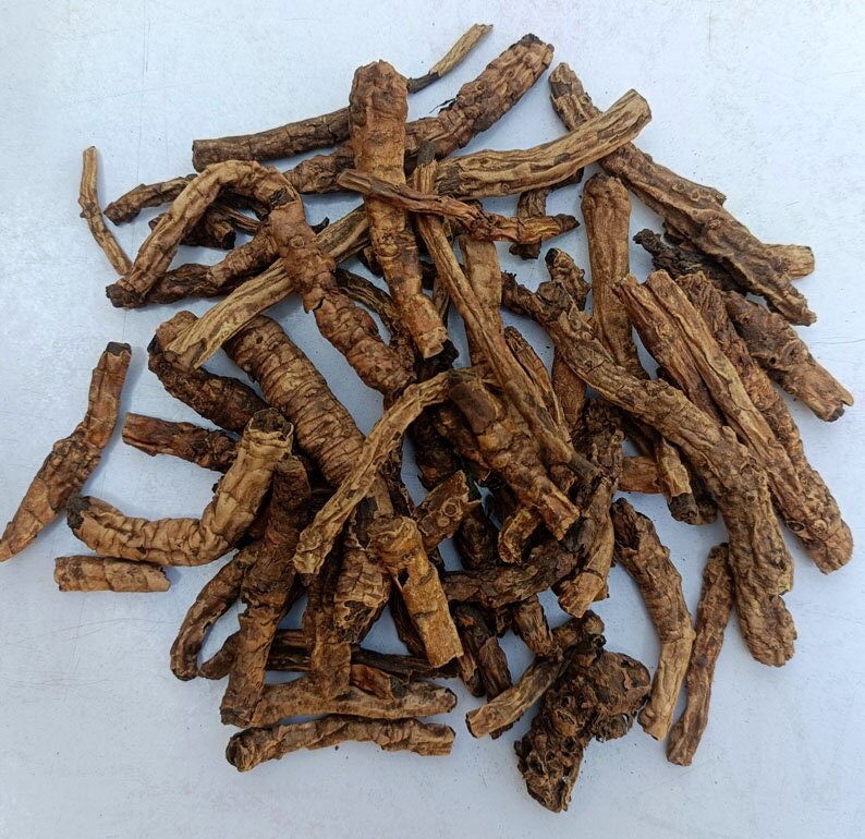 Kutki Roots Picrorhiza Kurroa Katuki Jadd Kutaki Roots Picrorhiza ...