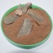 Neem Bark Powder/neem Chhal Powder/azadirachta Indica Powder Nimba Bark ...