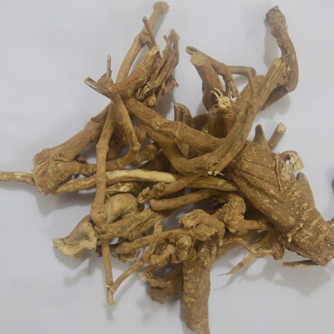 Punarnava Roots Sathi Jadd Boerhavia Diffusa Herbs Whole - Etsy