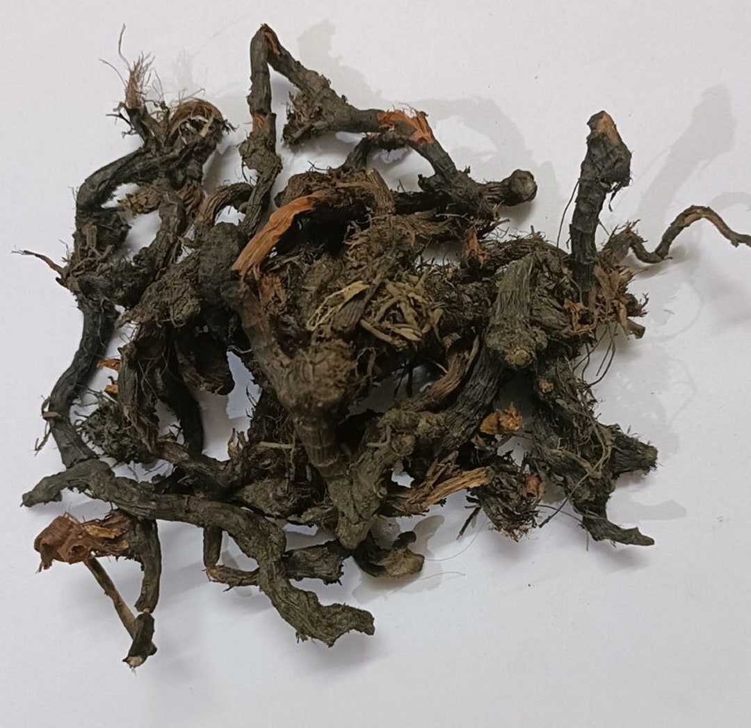 Nagarmotha Roots Cyperus Rotundus Nut Grass Roots Whole Herbs - Etsy