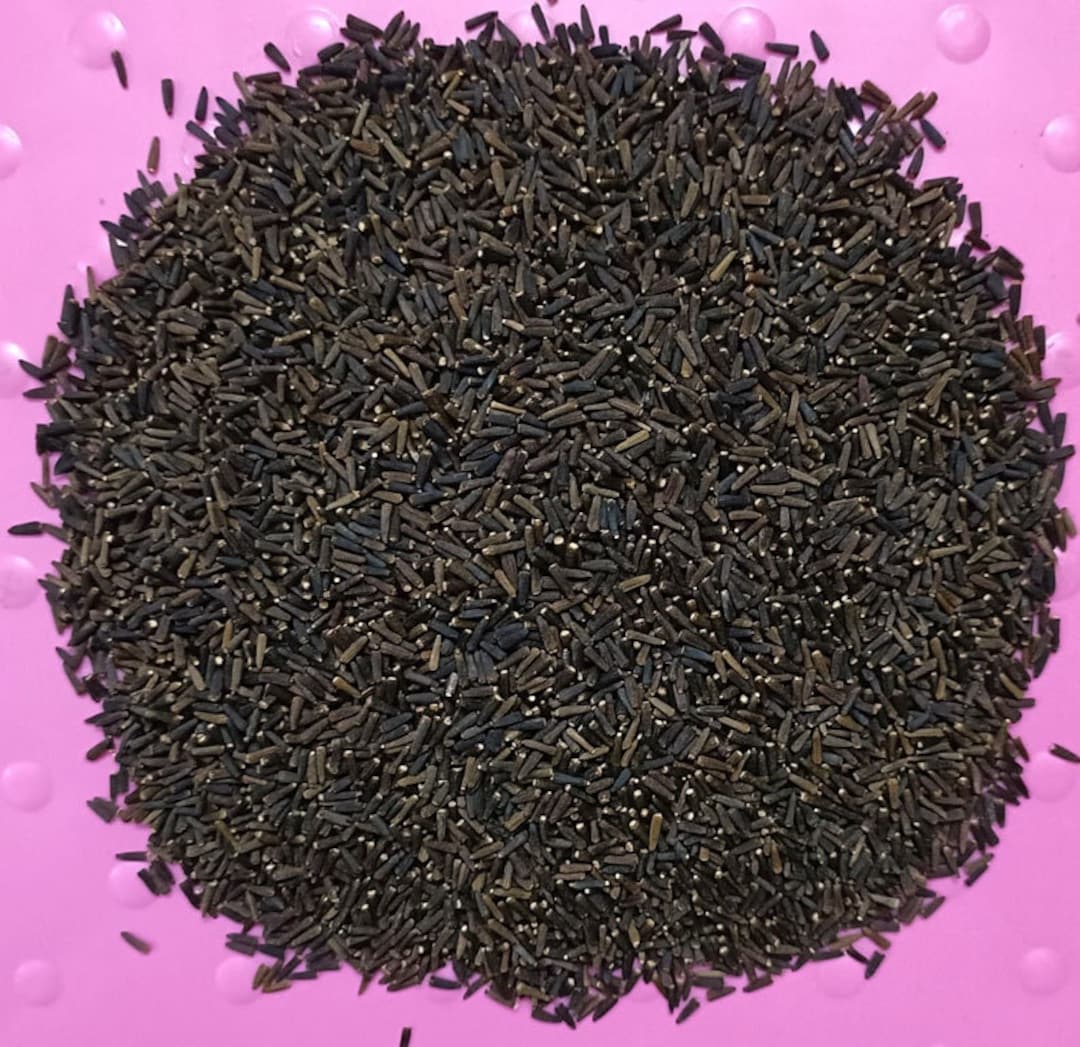 Kali Jeeri / Kali Jiri / Centratherum Anthelminticum / Bitter Black ...