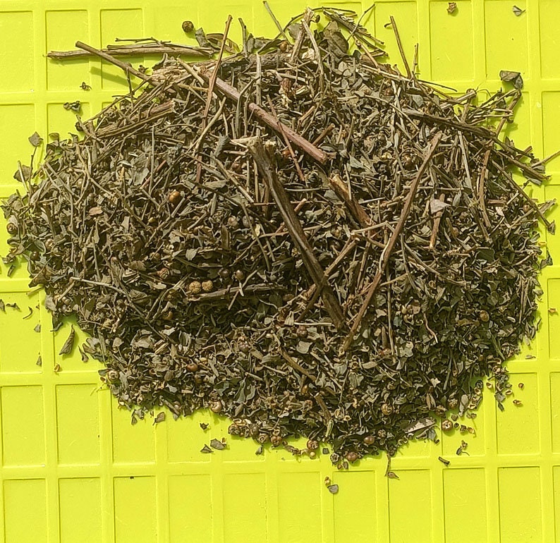 Bhumi Amla Phyllanthus Niruri Bhoomi Awla Bhumi Aamla Bhumyalaki ...