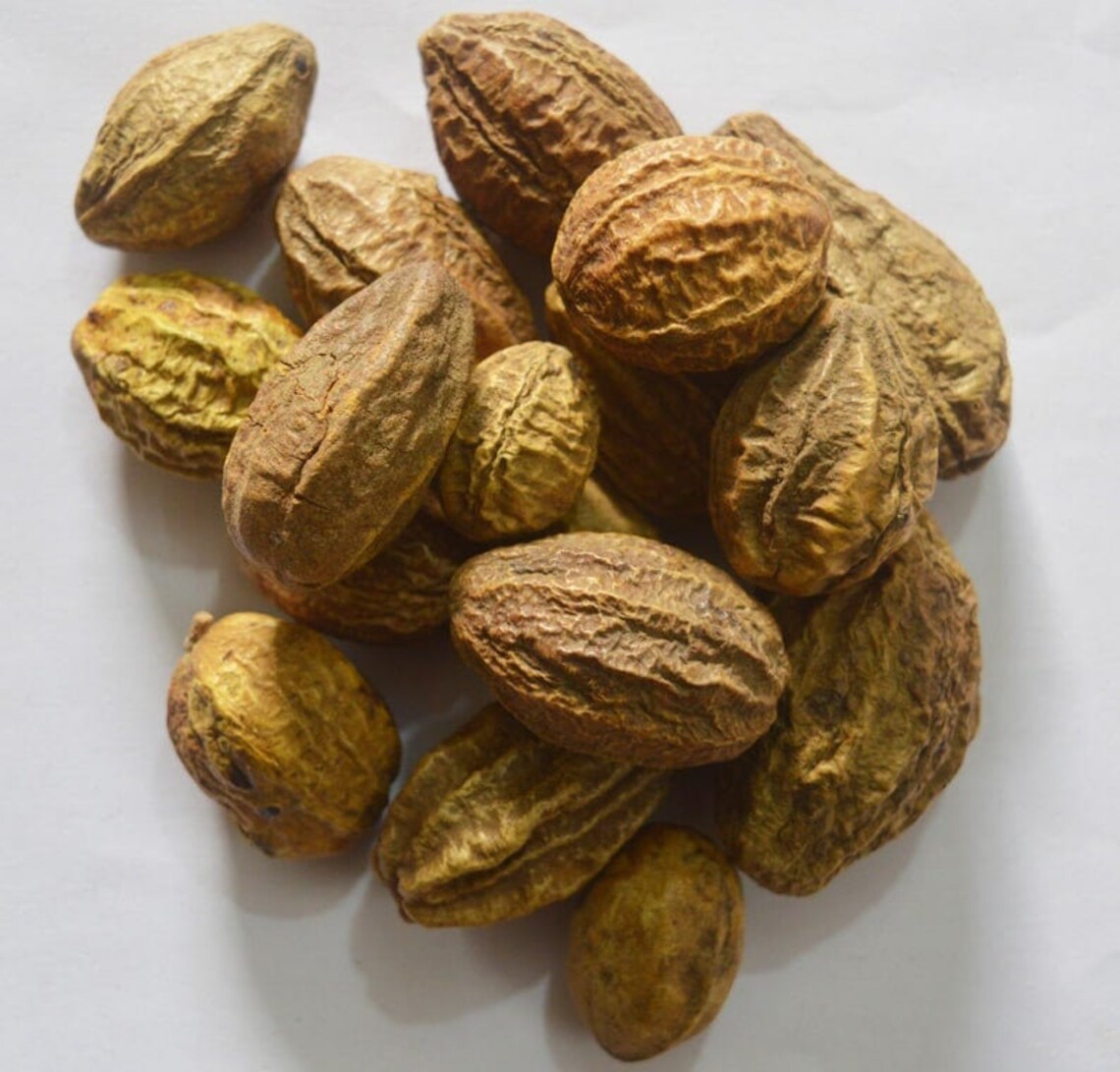 Haritaki Whole Harad Yellow Terminalia Chebula Harad Badi Pili Herbs ...