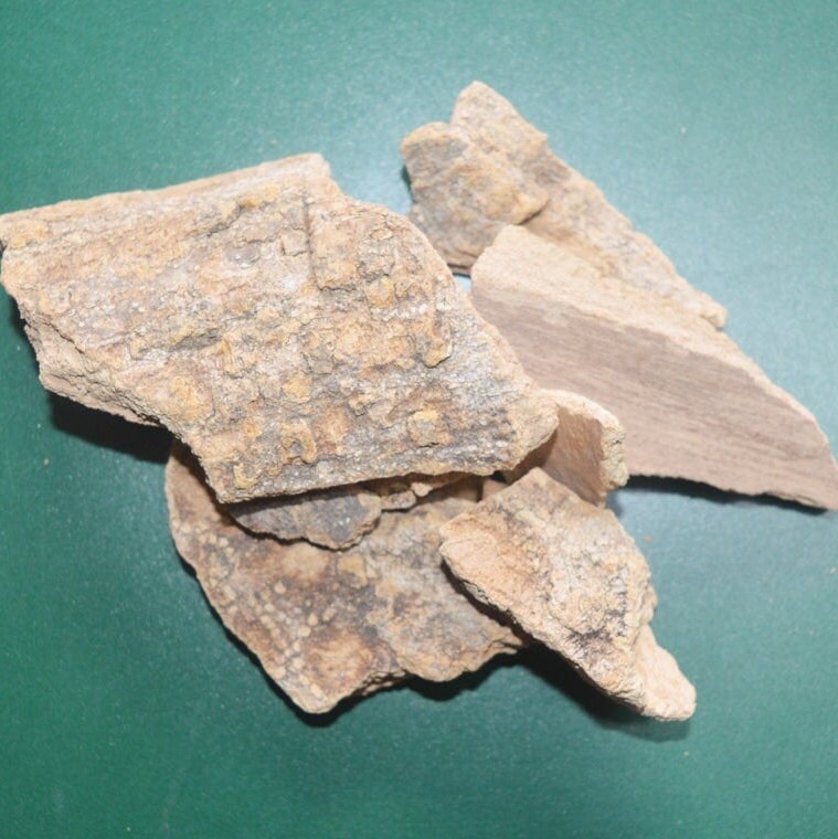 Varun Bark Varun Chaal Barun Chhal Cretaeva Nurvala Herbs Whole - Etsy