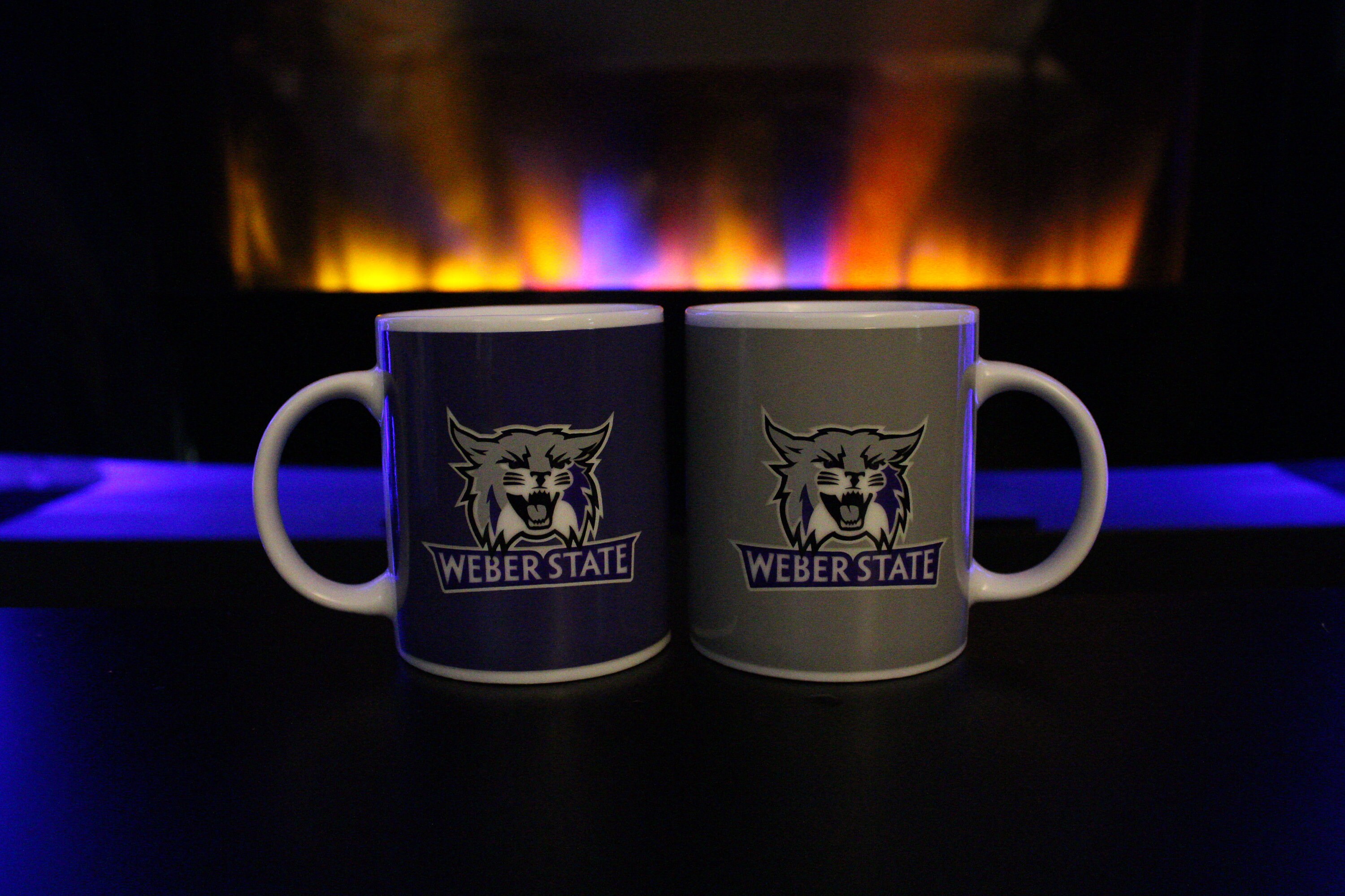 Color Changing! Weber State University Wildcats NCAA Thermoh Exray ...